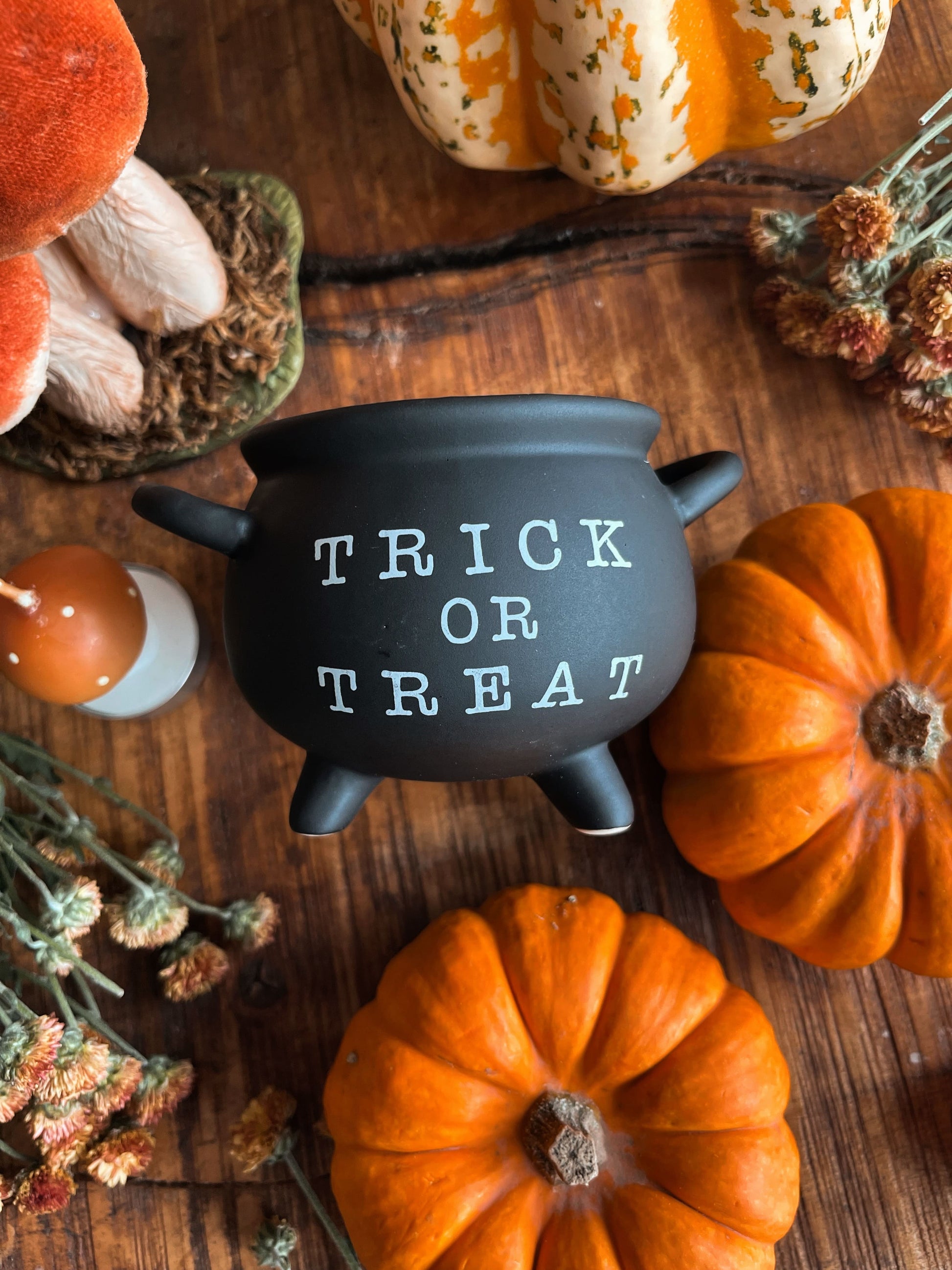Trick or Treat Cauldron – Mooncraft & Magick